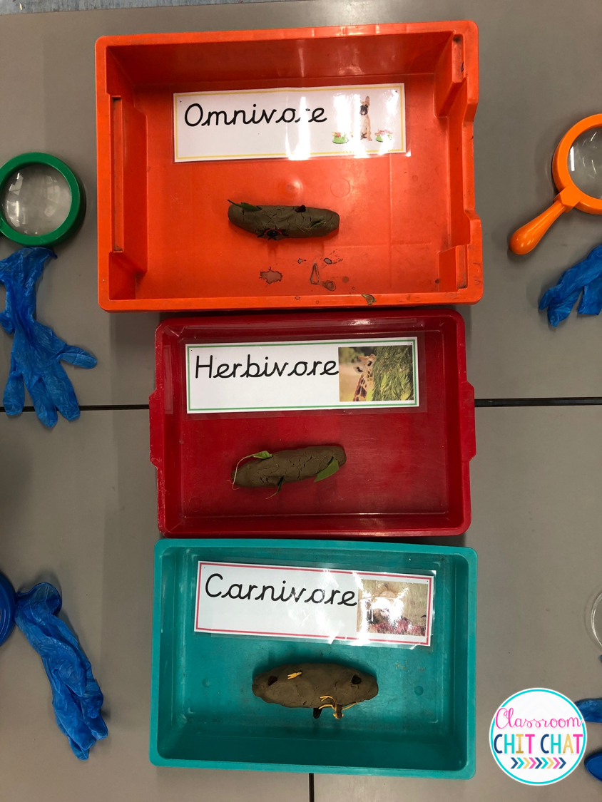 Classroom Chit Chat: How to make animal 'poo'