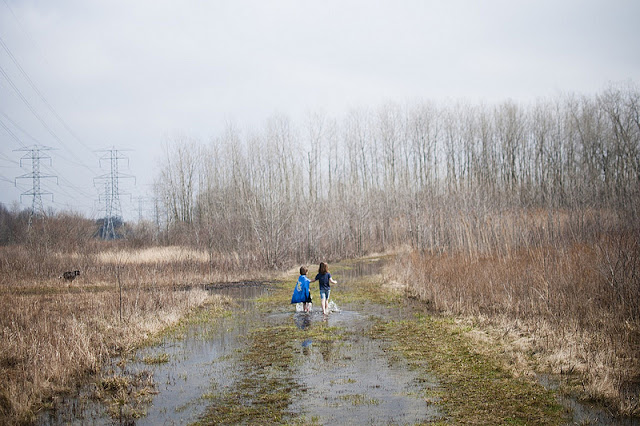Go Take a Hike: Crosswinds Marsh Preserve (again) | Something Fun Every Day