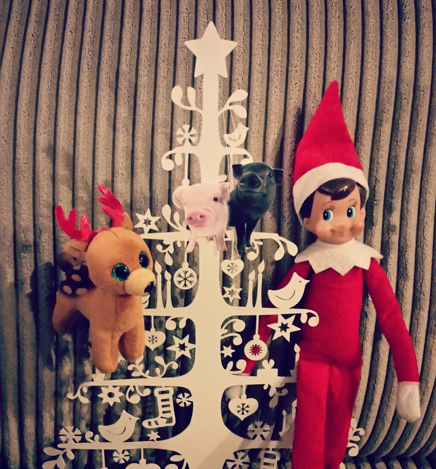 a bit of this & a bit of that: [Elfie]