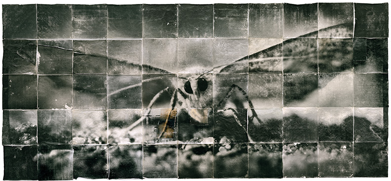 The Green Room: Source: Starn Twins