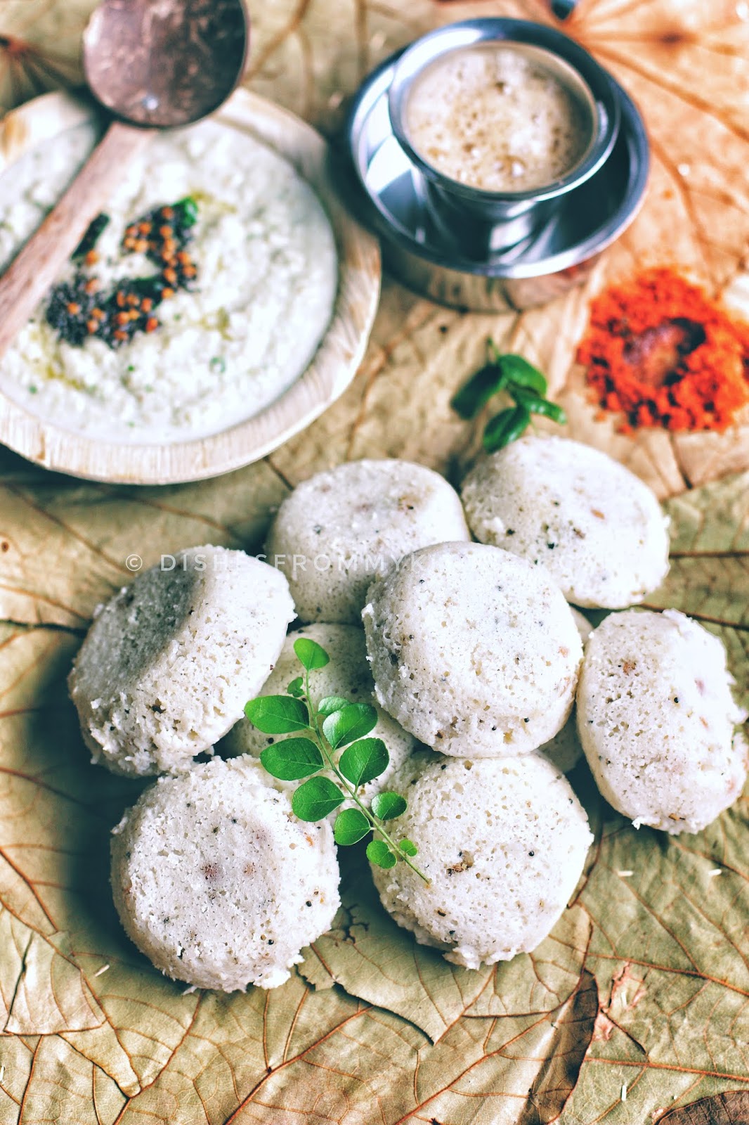 Dishesfrommykitchen: KANCHI IDLI (KANCHIPURAM IDLI Steamed Rice Cake)