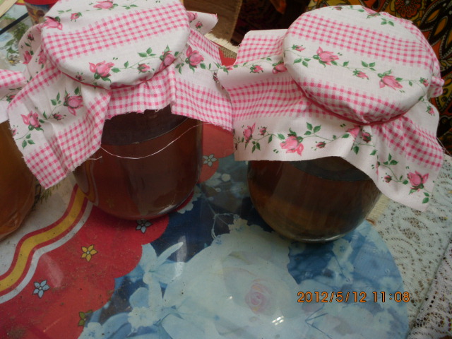 CIUPERCA KOMBUCHA: 2013