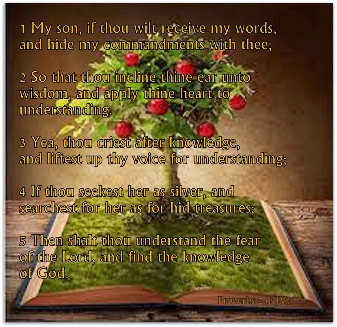 Red Pill Diaries: Proverbs 2 (KJV)