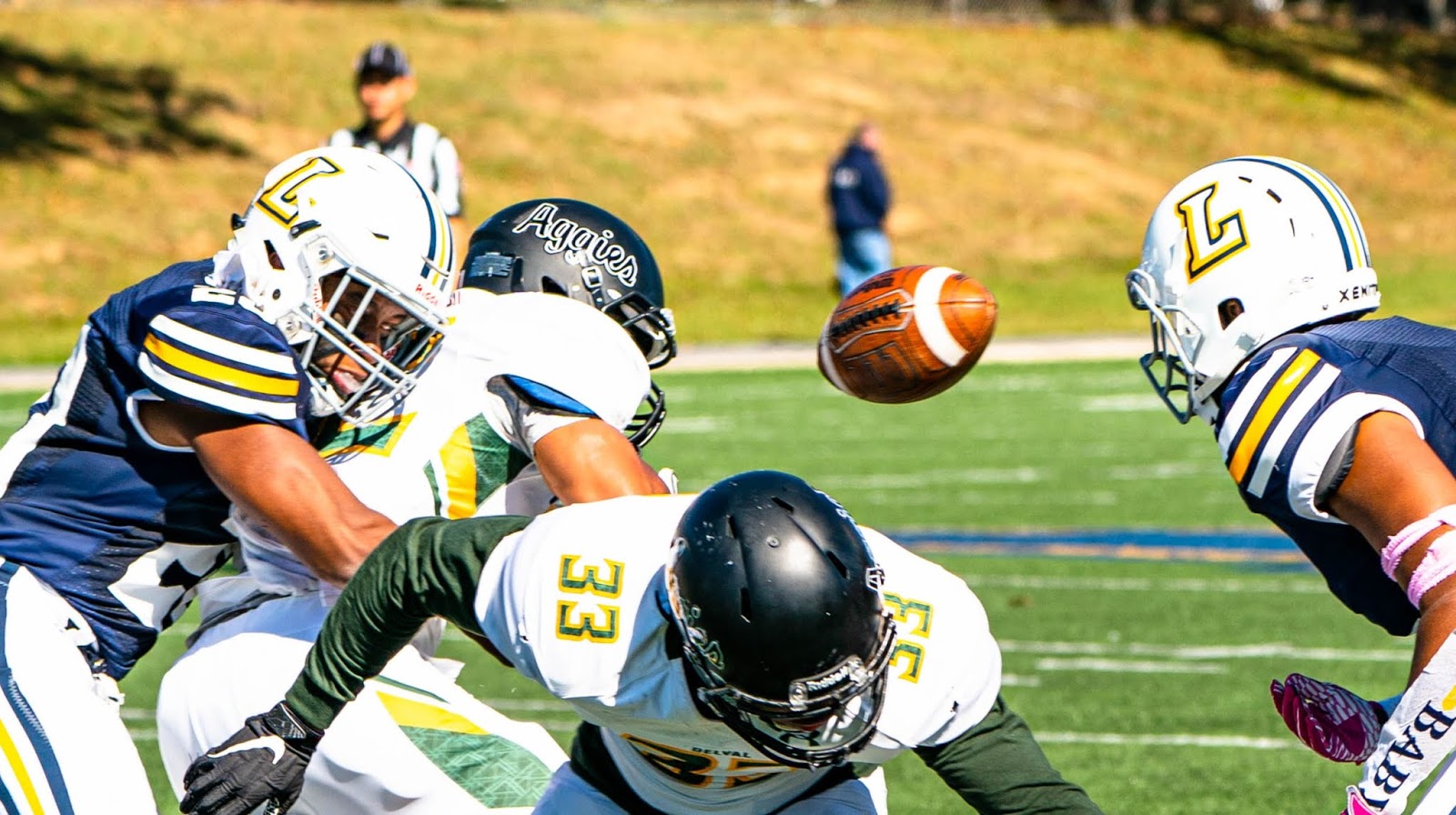 Lycoming Football: Lycoming Football - Warriors fall to 13th-ranked Aggies