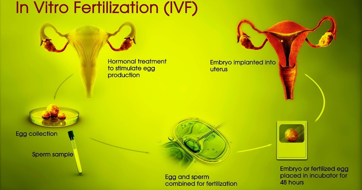 How to conceive baby Boy or Girl on choice naturally using In-vitro ...