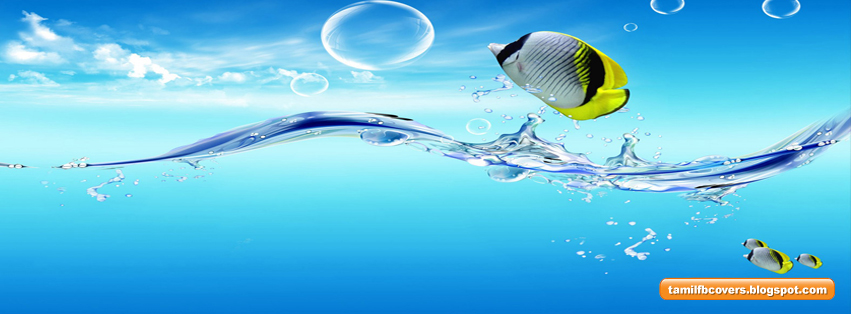 My India FB Covers: Ocean Fish - Nature FB Cover