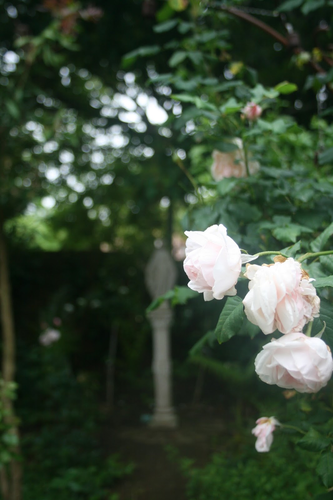 The French Madonna: The treasure at the heart of the rose