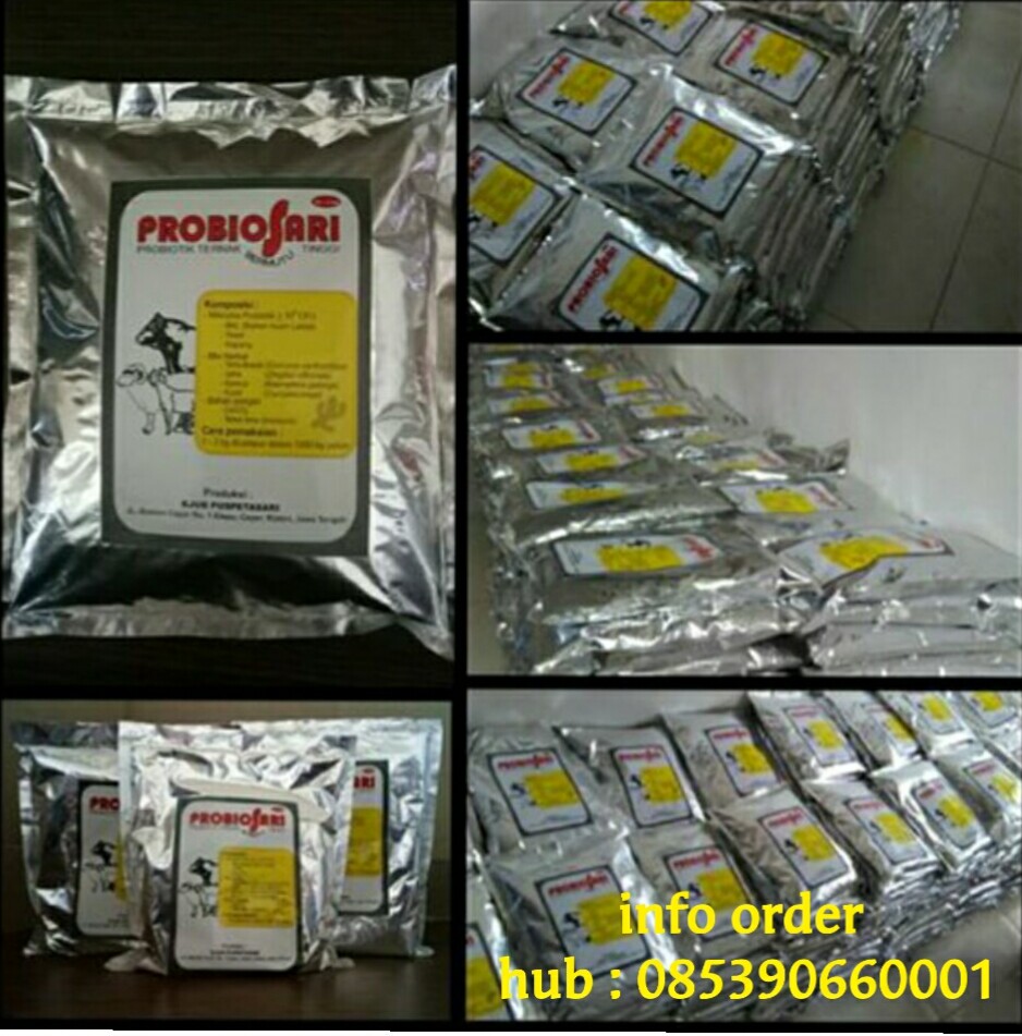 AGEN PAKAN SAPI KONSENTRAT NUTRIFEED MALANG