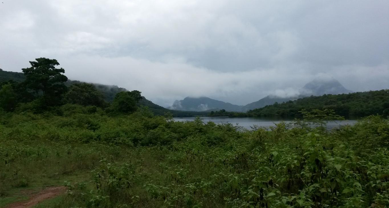 Tamilnadu Tourism: Chittar Dam – 1, Pechiparai, Kanyakumari