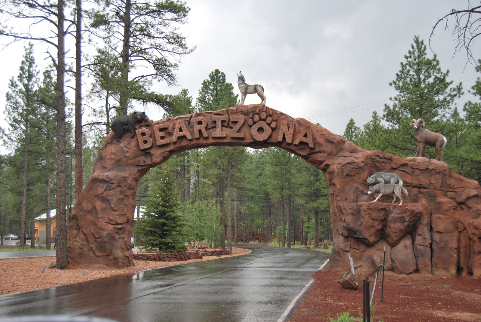 Crawford chat: Bearizona!