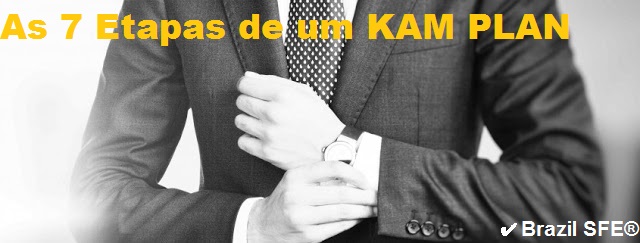 Representante® da Indústria Farmacêutica: As 7 Etapas de um KAM Plan