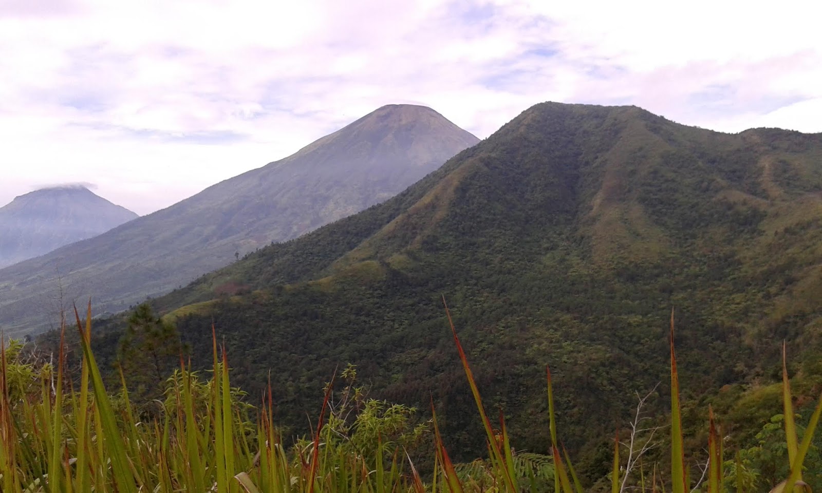 Mendaki Gunung Sigandul Via Dadapan Wonoboyo Temanggung - Santri Dan Alam