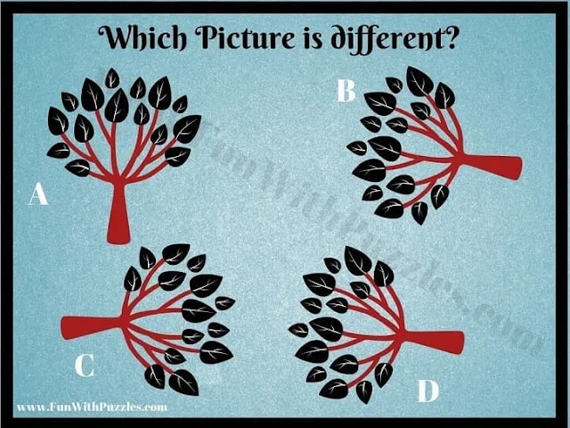 Fun Picture Puzzles: Hone Your Observation Skills!