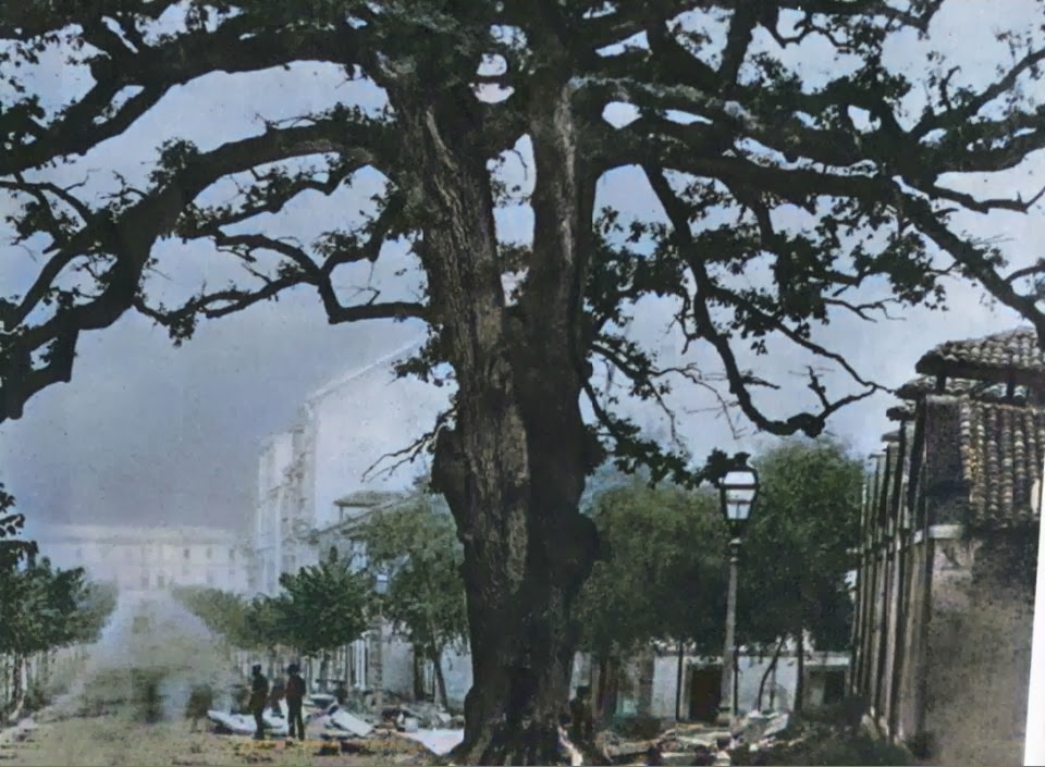 El Blog de Acebedo: La historia del Carbayón de Oviedo