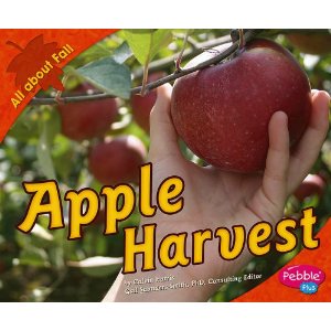 Play Through the Day: {Playing Through Autumn Day 6} Books We Love ...