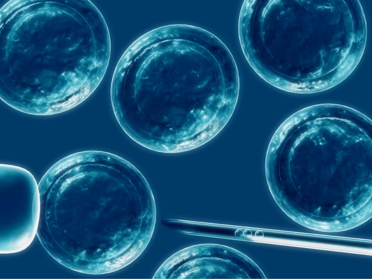 CÉLULAS MADRE EN MEDICINA REGENERATIVA: STEM CELLS