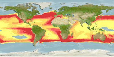 WHERE DO YOU FIND GREAT WHITE SHARKS? |The Garden of Eaden