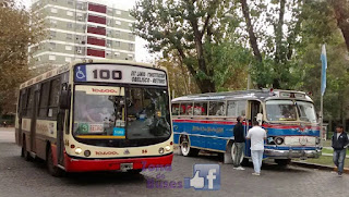Colectibus - Zona de Buses: LINEA 100