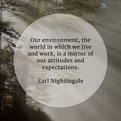 35 Environment quotes that'll influence protecting the earth