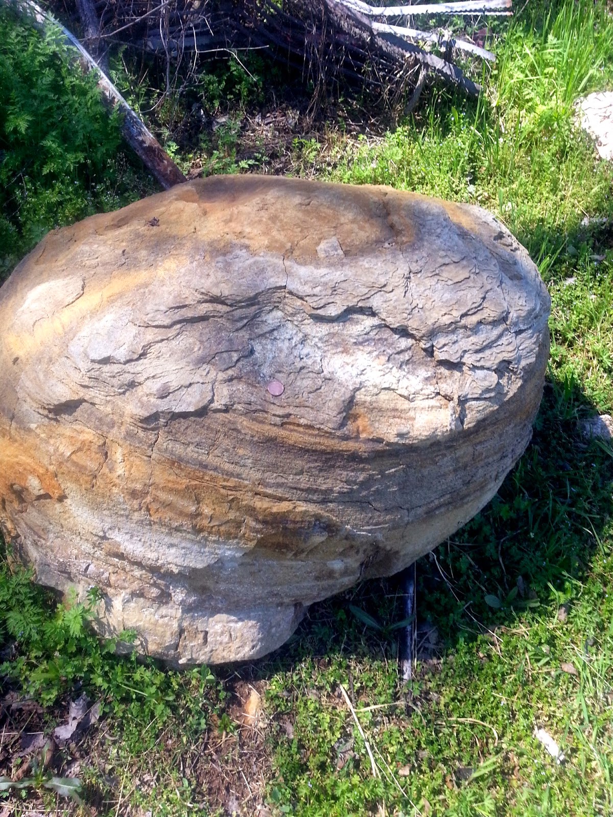 Rockhounding Around: The Wilcox Formation - Boulders & Red River levee ...