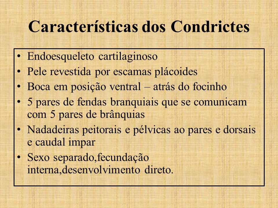 Filo cordados: peixes condrictes e osteíctes. | Biologia: A ciência da vida