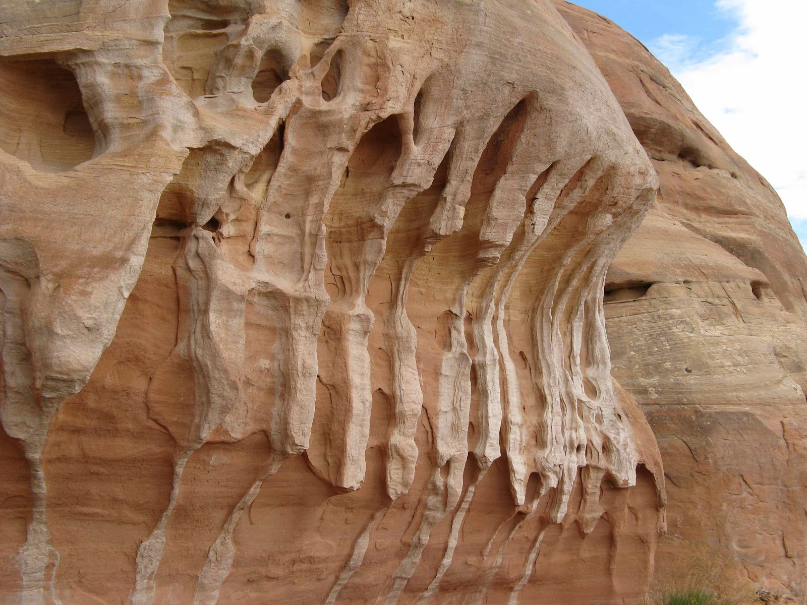 In the Company of Plants and Rocks: tafoni #1