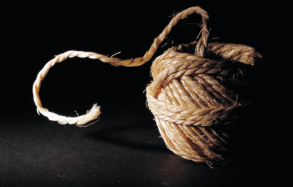 Blog Linha: O que você faz com uma linha?...