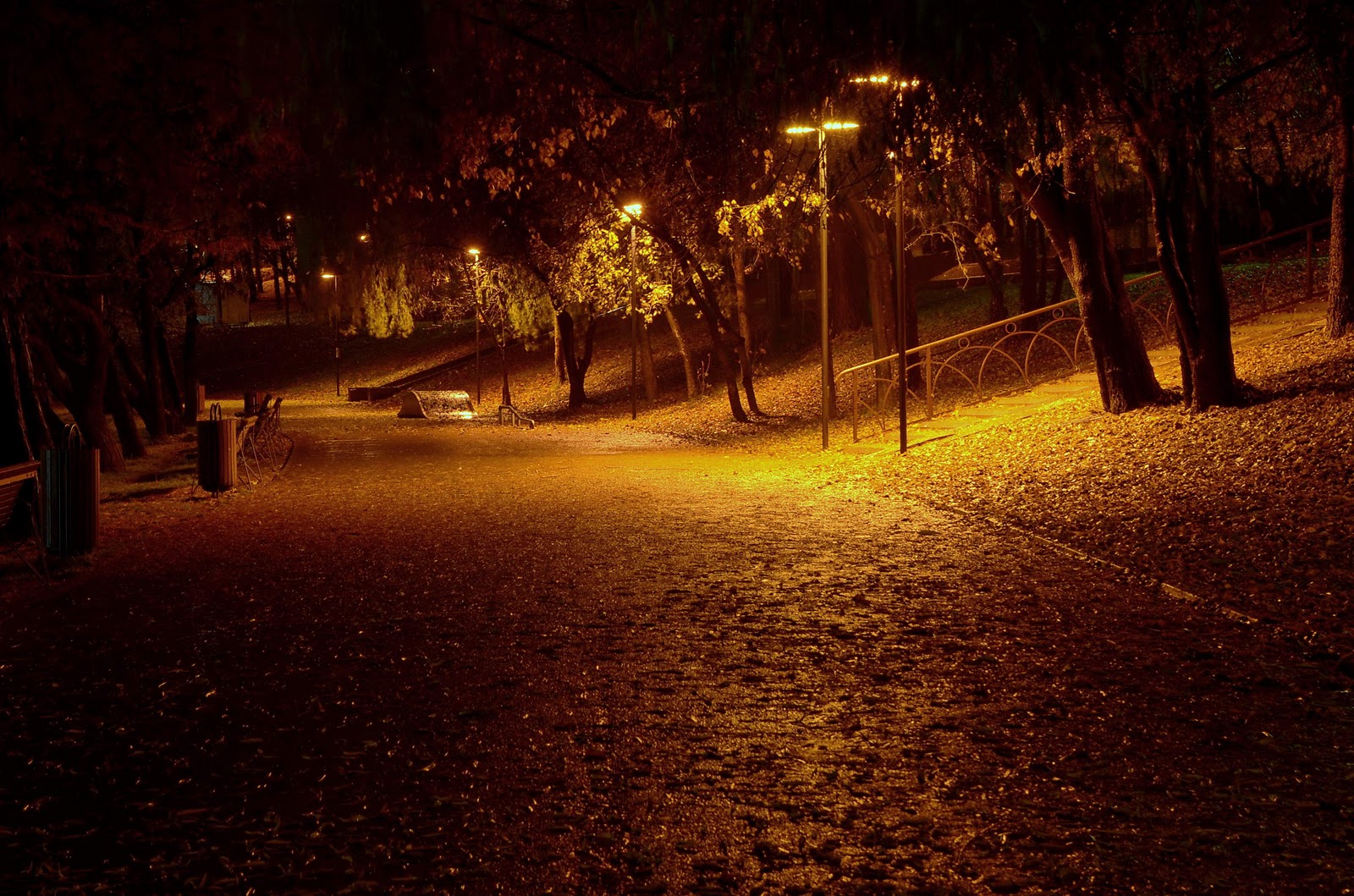 Iulian Crihana Photography: (iar) prin (alt) parc, noaptea...