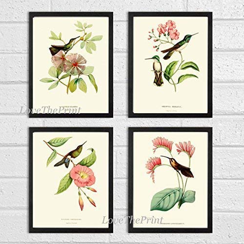 7 Spring Wall Art Ideas for Nursing Home Rooms | Elder Care Issues