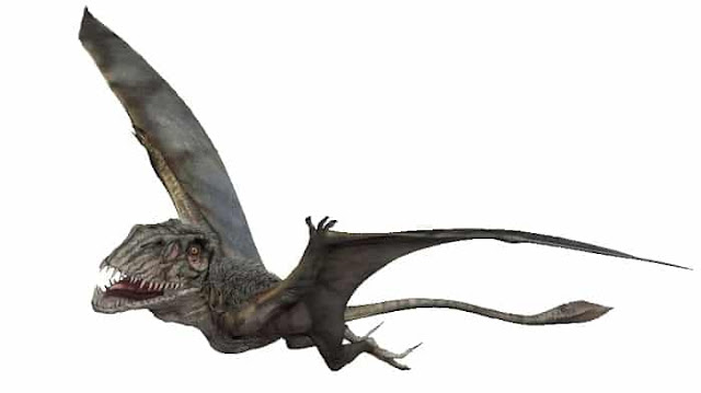 El dimorphodon