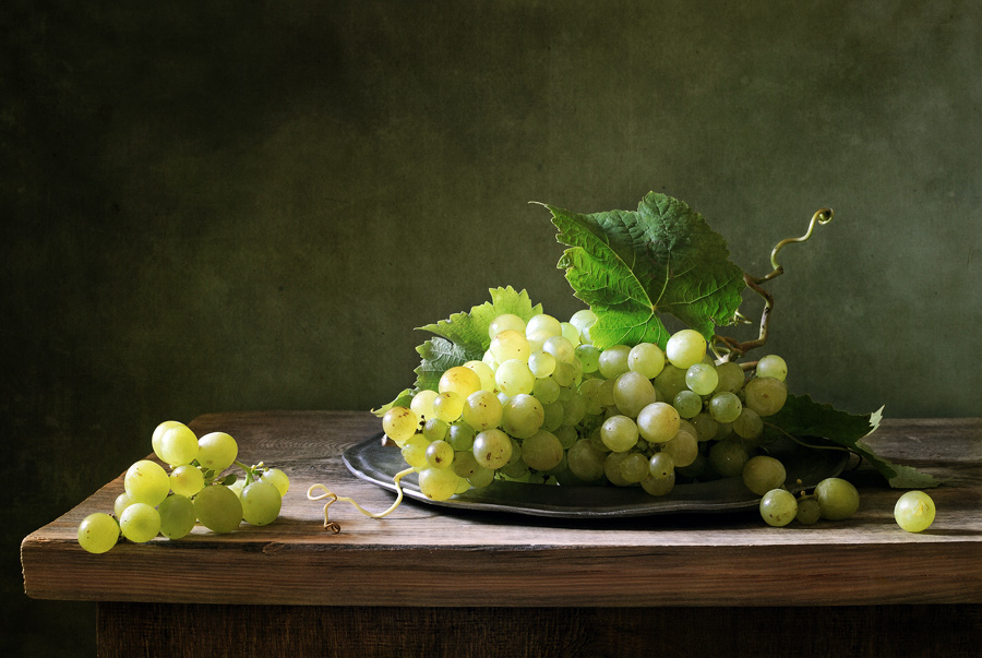 Studio Photography Still Life