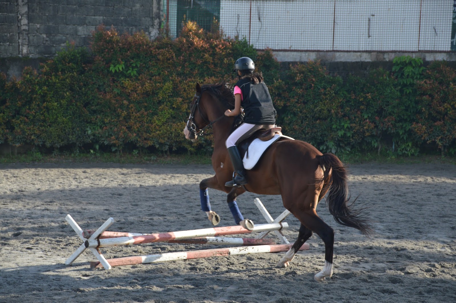 Horse Riding Philippines: Yana Loves the Cavaletti - Horse Riding Lesson