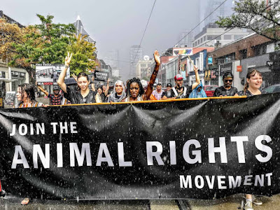What is the Animal Rights Movement?