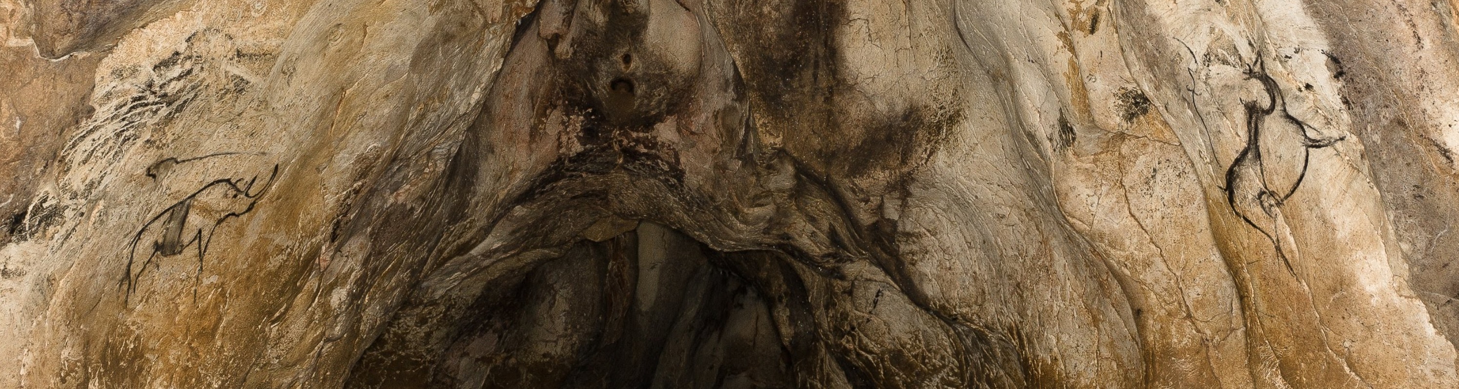 Mark P. Witton's Blog: Megaloceros giganteus: behind the antlers