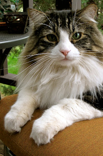 Dynamite Specialty Products: Products