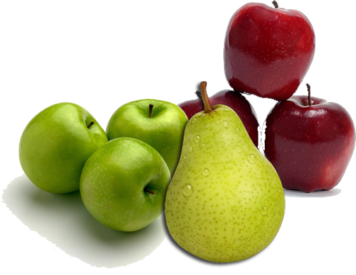 Pear, apel merah atau apel lokal | Tour and Travel Palangkaraya ...