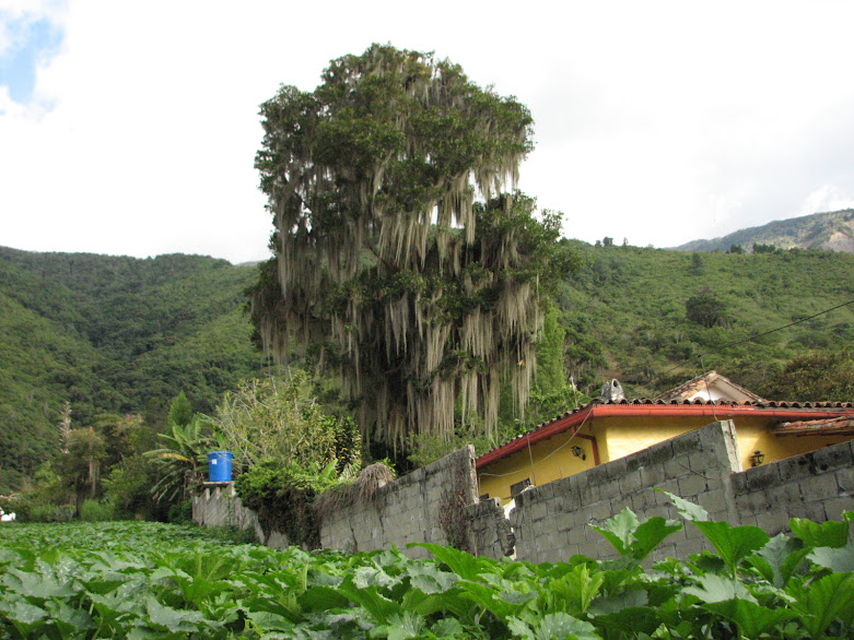 Visitando al Pueblo de Tabay