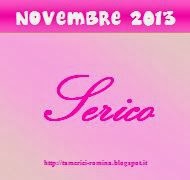 Romina Tamerici: Le dodici parole del 2013: racconto e video - 500° post