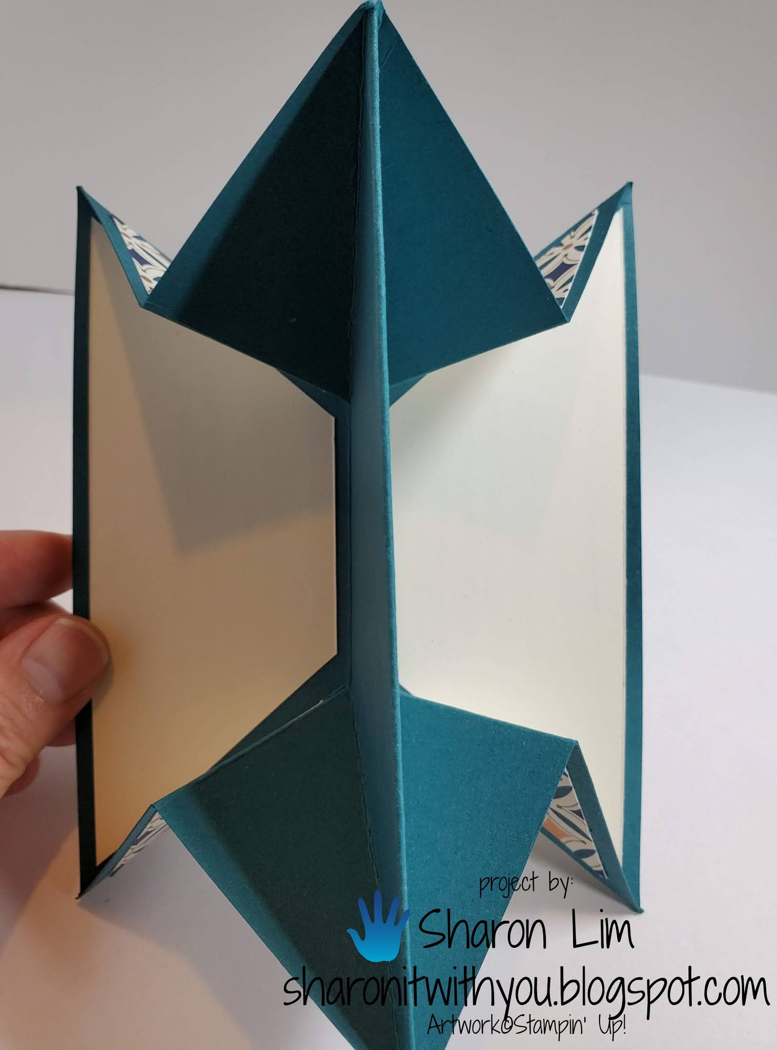 Sharon It With You: Tricorn card tutorial from half a sheet of ...