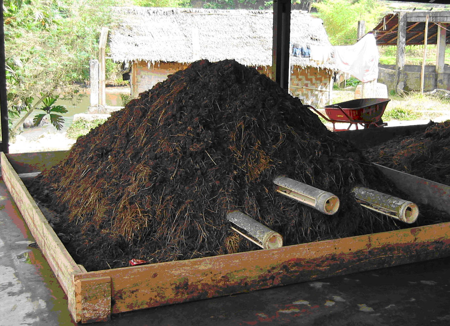 Jenis Jenis Pupuk Organik Yang Perlu Kita Ketahui - Belajar Pertanian ...