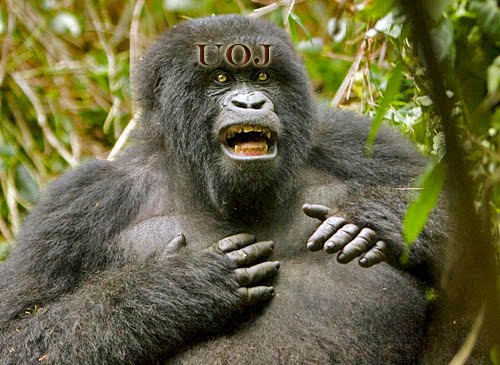 Ichabod, The Glory Has Departed: Gorillas in Our Midst."They Scream and ...