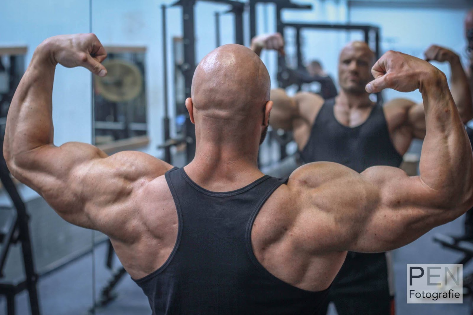 Muscle Lover: German muscle beast Tobias Hahne