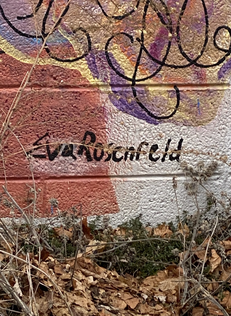 Mae's Food Blog: Walking in my neighborhood