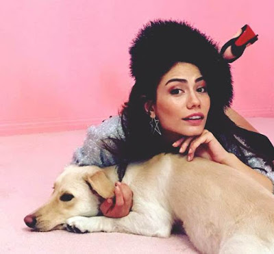 Biografia actrtitei DEMET OZDEMIR aka LALE din comedia CAMERA 309 ...