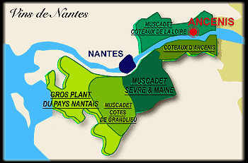 Wine And Me: Muscadet: Refreshing, Delicious, But A Tad Weird...