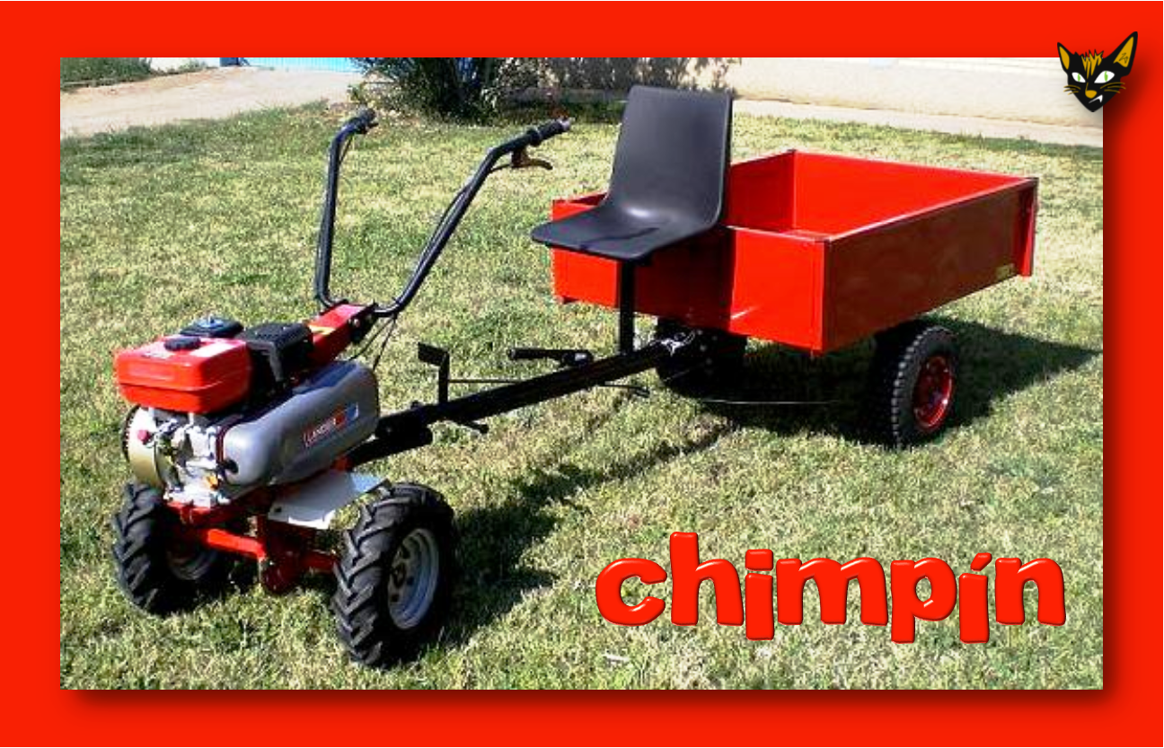 Zarampagalegando: Dicionario visual. Chimpín