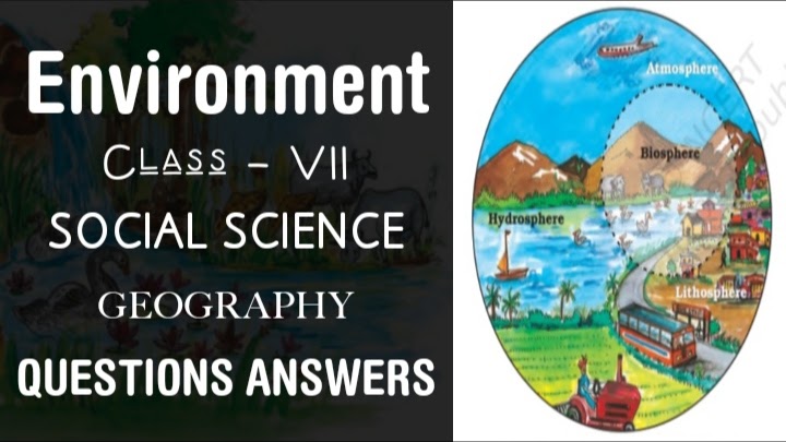 Environment class 7 Social Science (Geography) Questions Answers ...