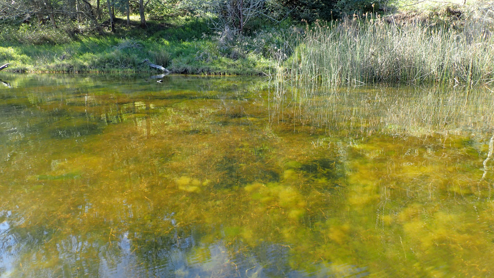 AdventureLisa: Paddling the Groot Brak River