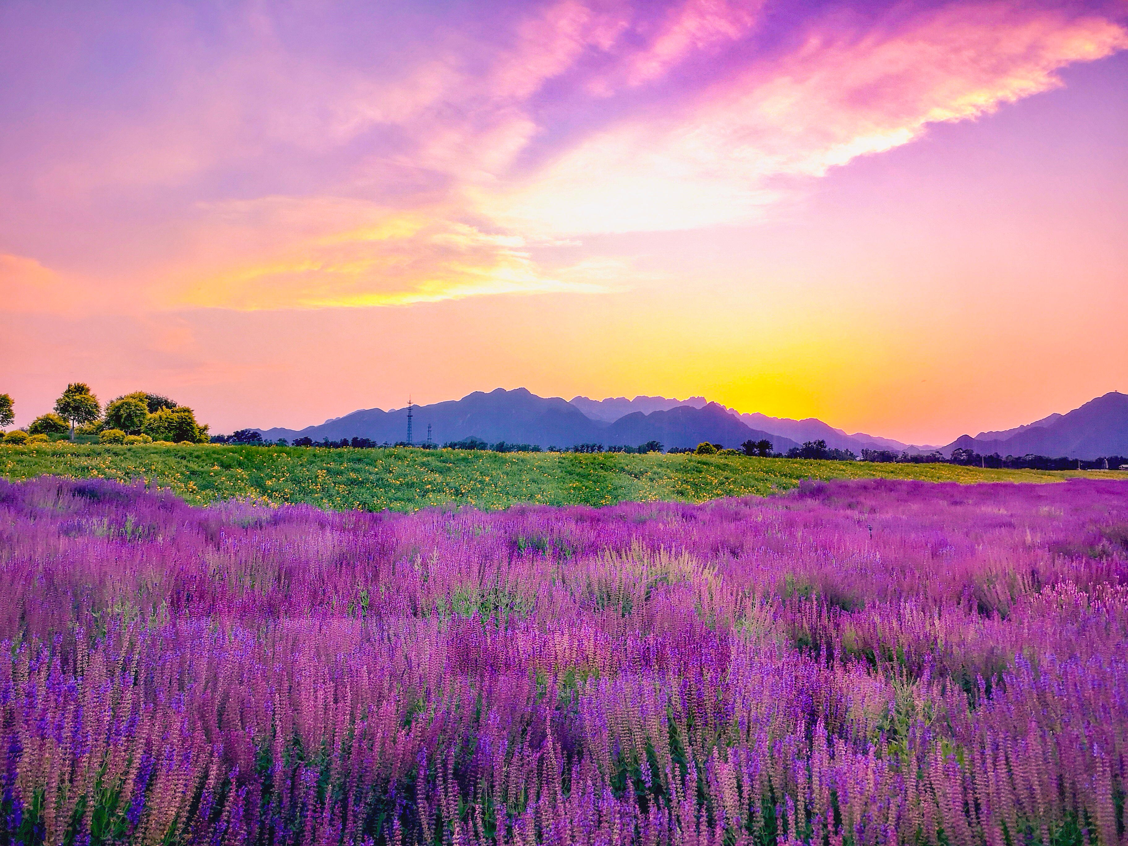 32flower landscape, photography tips to take pictures of the landscape ...