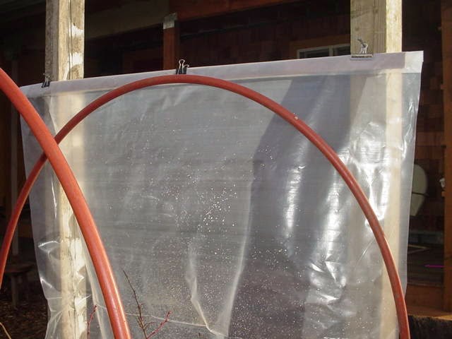 Hoophouse on the Slug Moat | Permaculture, Perennial Polycultures ...